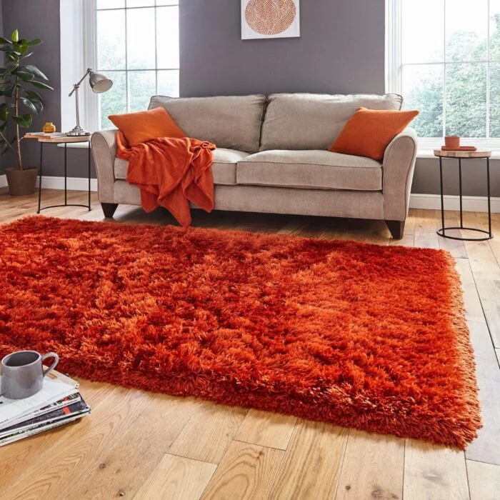 Red shag rug store